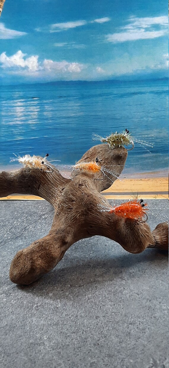 Crystal Shrimp: Snook/sea Trout Fly | Etsy