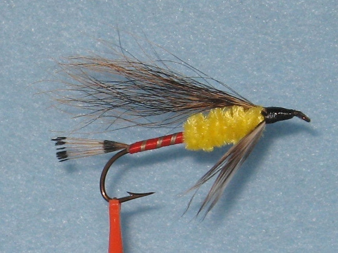Trout/salmon Streamer 6:variety of Styles Available - Etsy