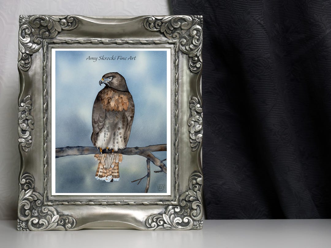 Red-tailed Hawk Watercolor Print – Bird of Prey Art – "sentinel ...