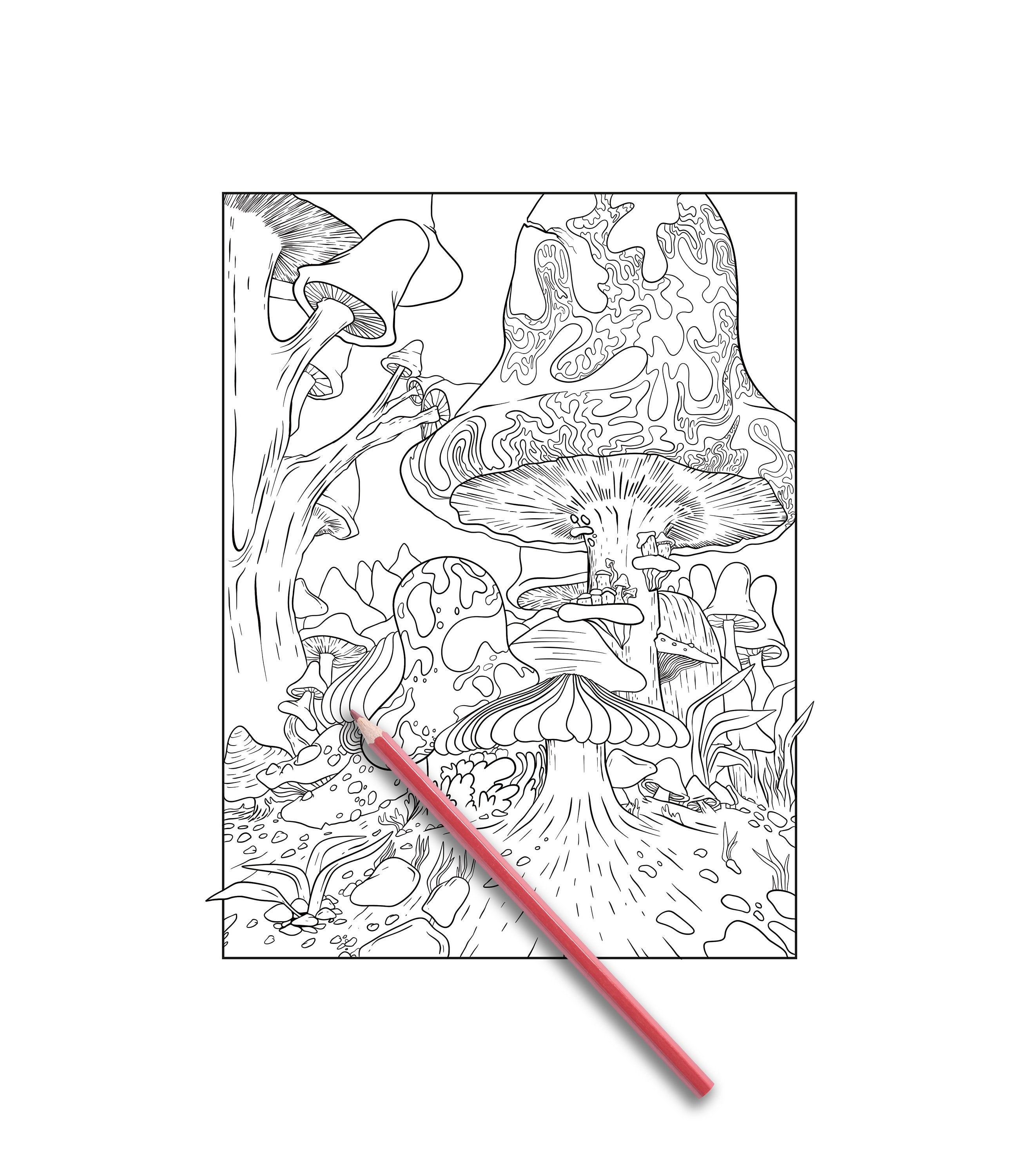 Stoner Coloring Book Adult Coloring Book Weed Coloring Book - Etsy