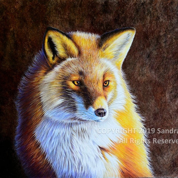 Fox Art - Etsy
