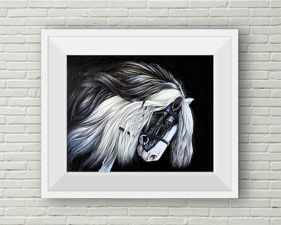 GYPSY VANNER HORSE Art Giclee Gypsy Cob Horse Print by Sandra Byland ...