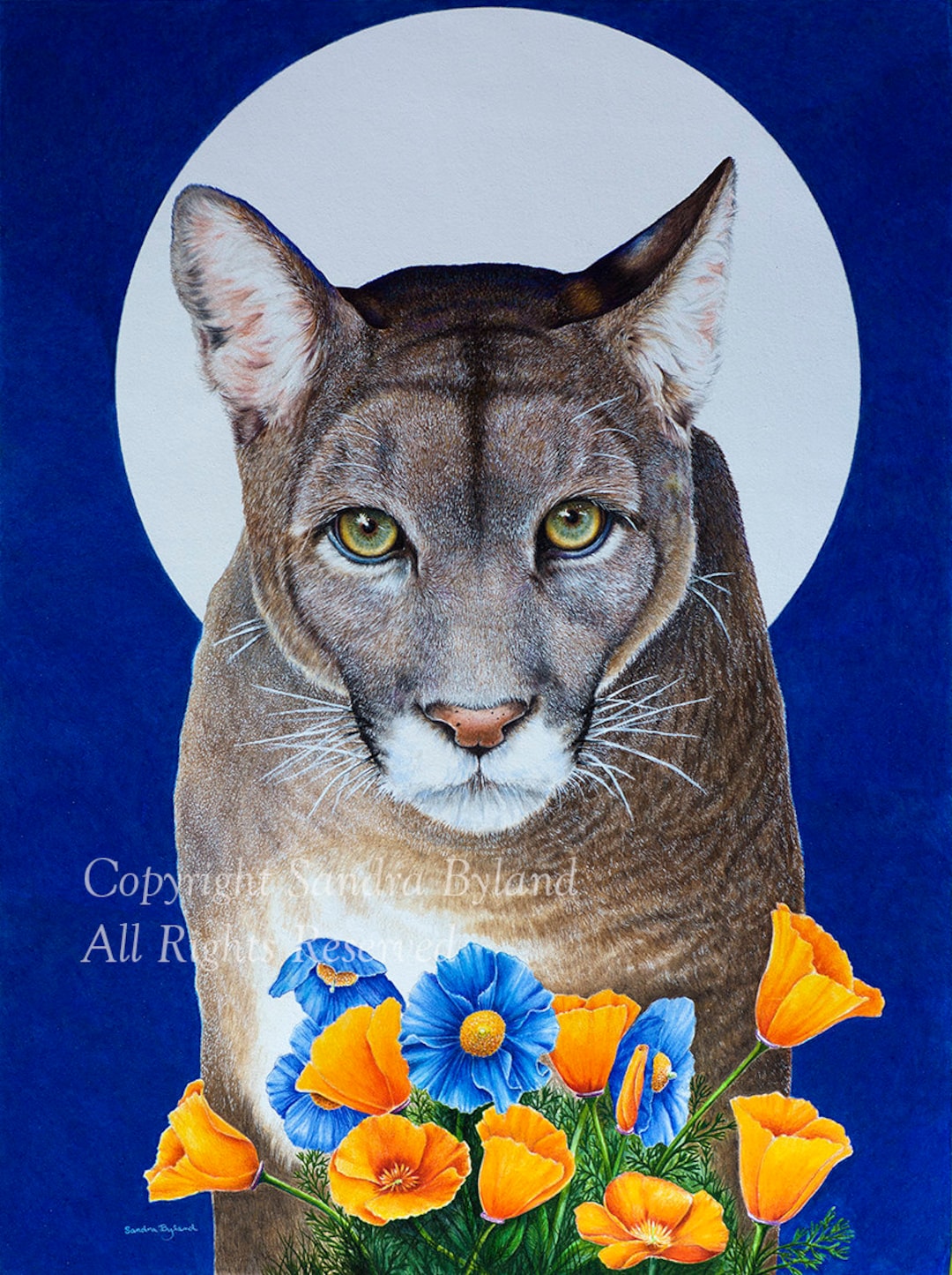 COUGAR ART PRINT Poster Cougar Print Mountain Lion Art Cougar Poster ...