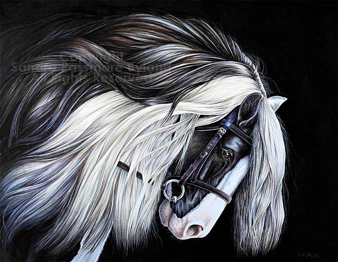 GYPSY VANNER HORSE Art Giclee Gypsy Cob Horse Print by Sandra Byland ...