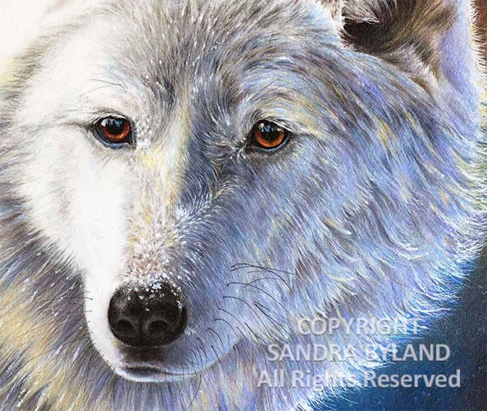 WHITE WOLF ART Print White Wolf Art Print Wildlife Canvas Painting ...