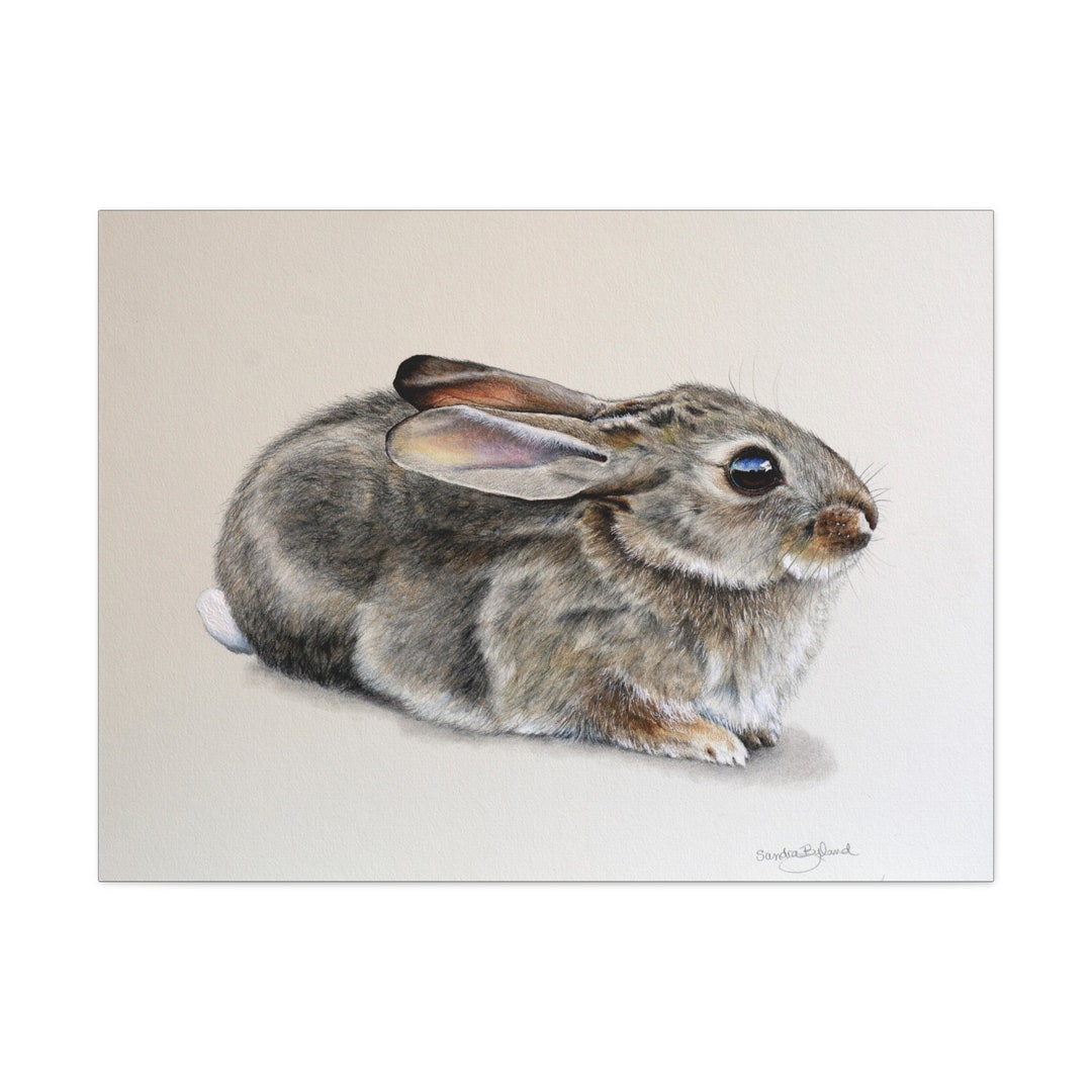 BUNNY ART PRINT Bunny Art Canvas Rabbit Painting Bunny Rabbit Decor Art ...