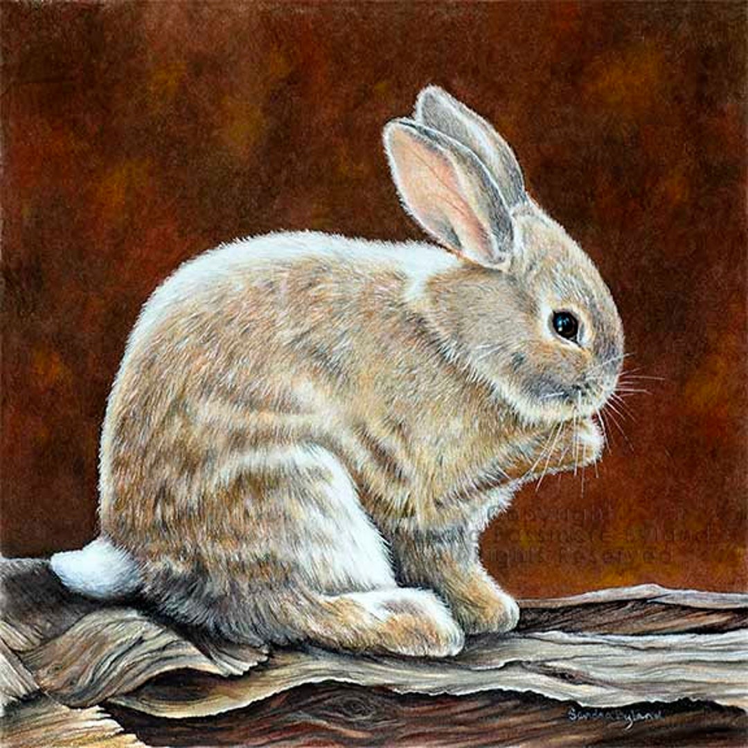 BUNNY ART PRINT Bunny Wall Art Giclee Rabbit Art Print Gift for Bunny ...