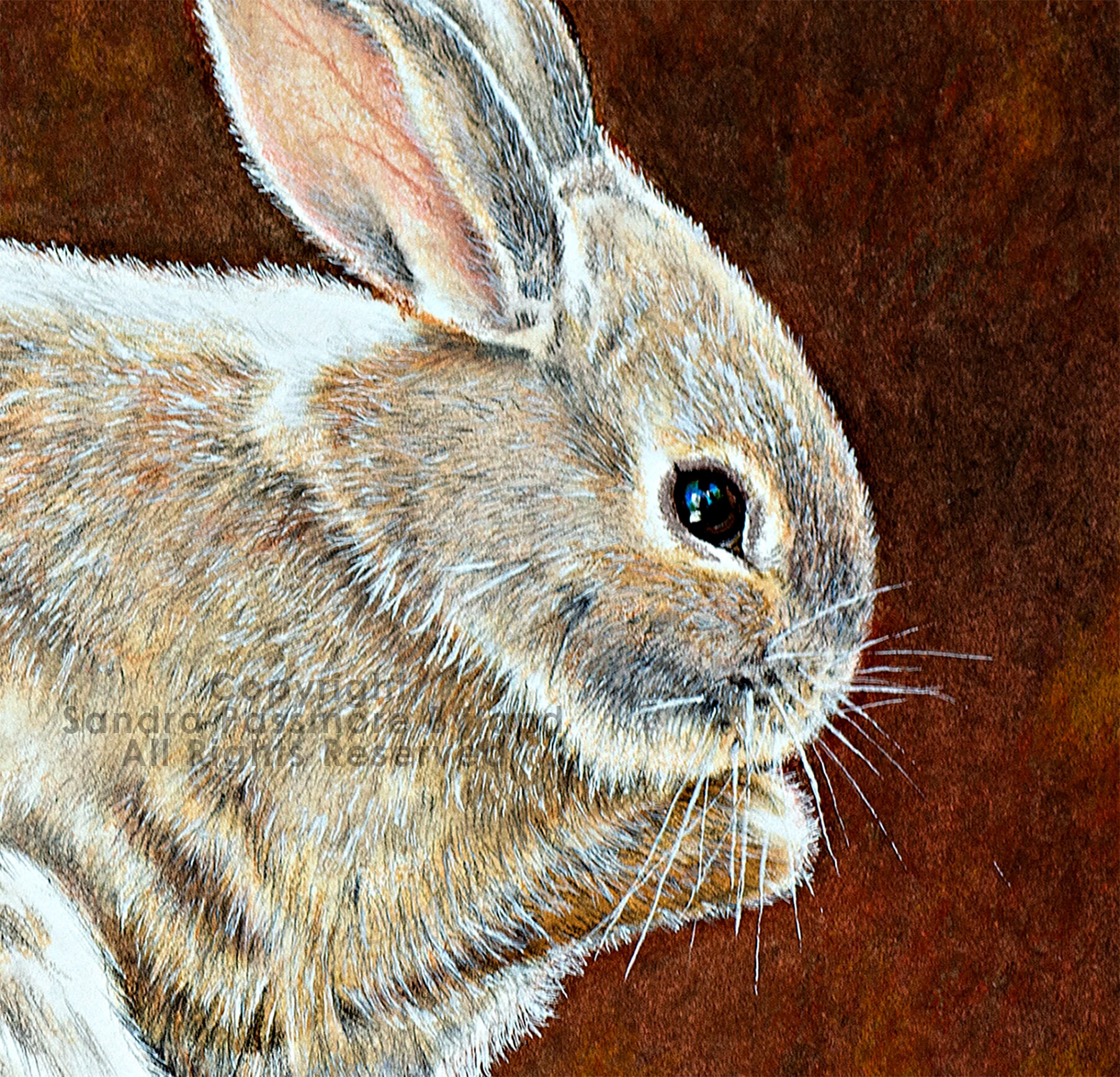 BUNNY ART PRINT Bunny Wall Art Giclee Rabbit Art Print Gift for Bunny ...