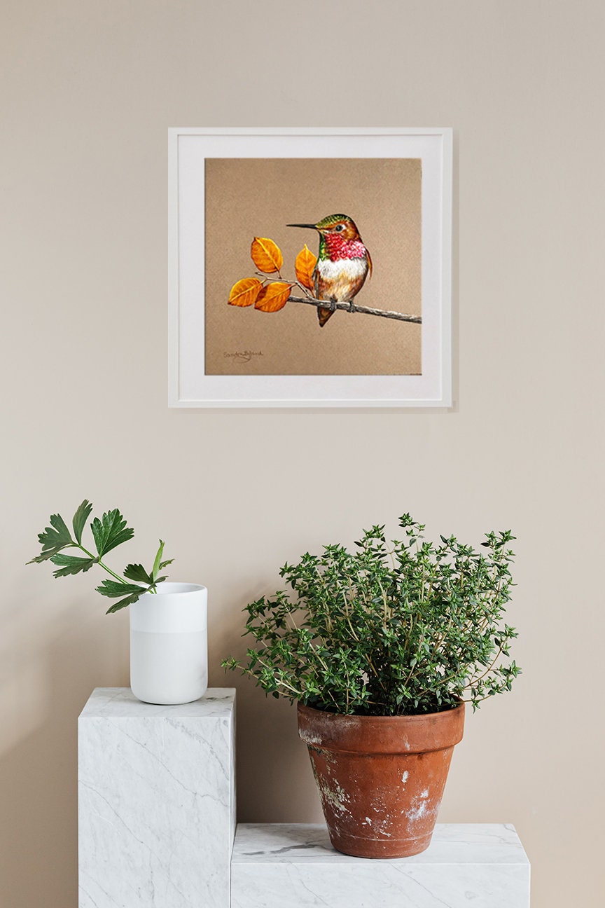 RUFOUS HUMMINGBIRD ART Print Hummingbird Lover Gift Fine Art ...