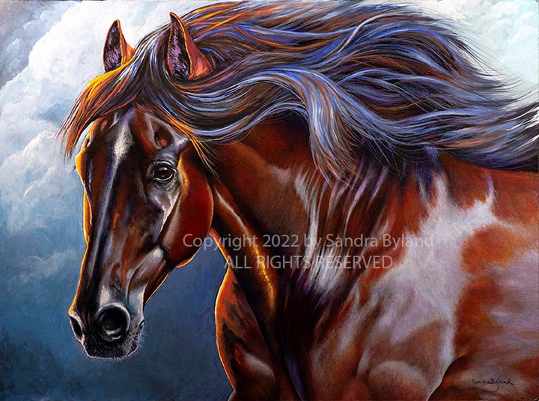 Wild Stallion Drawing