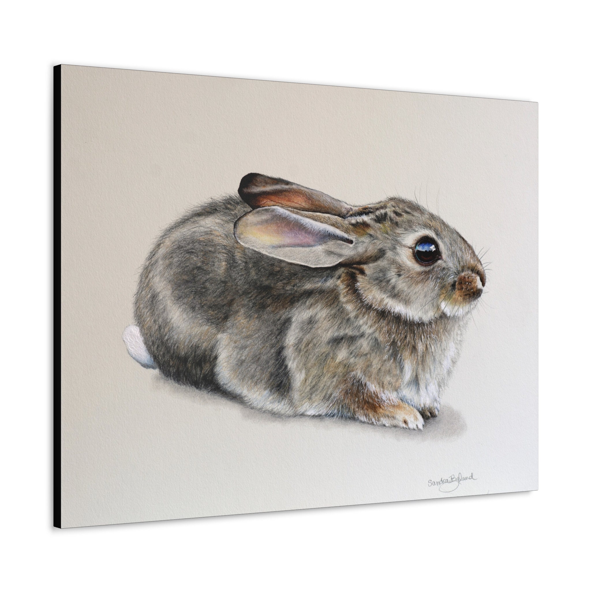 BUNNY ART PRINT Bunny Art Canvas Rabbit Painting Bunny Rabbit Decor Art ...