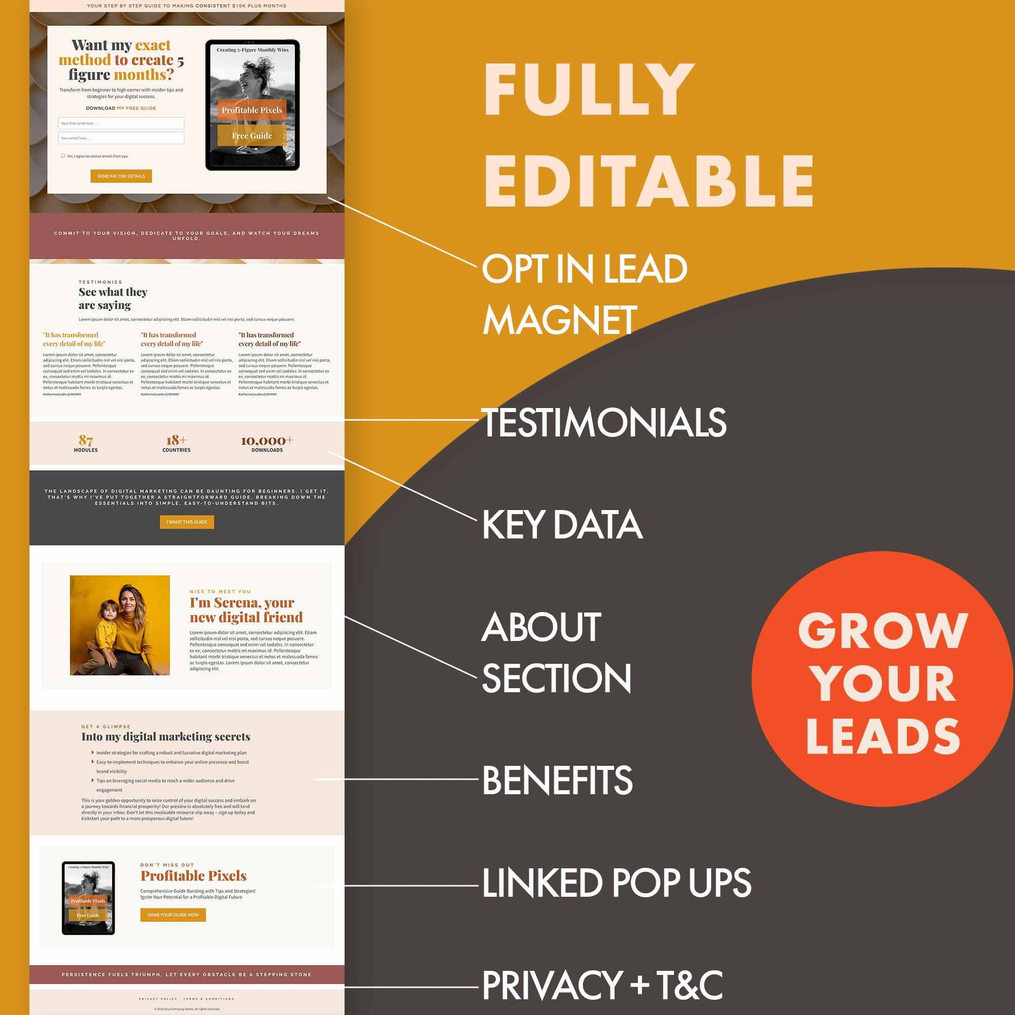 Systeme.io Neutral Template Lead Magnet Opt in Landing Page Template ...