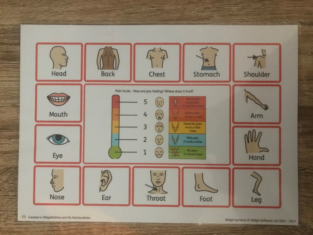 A4 Laminated Pain Scale Chart: Non-verbal Communication Aid - Etsy