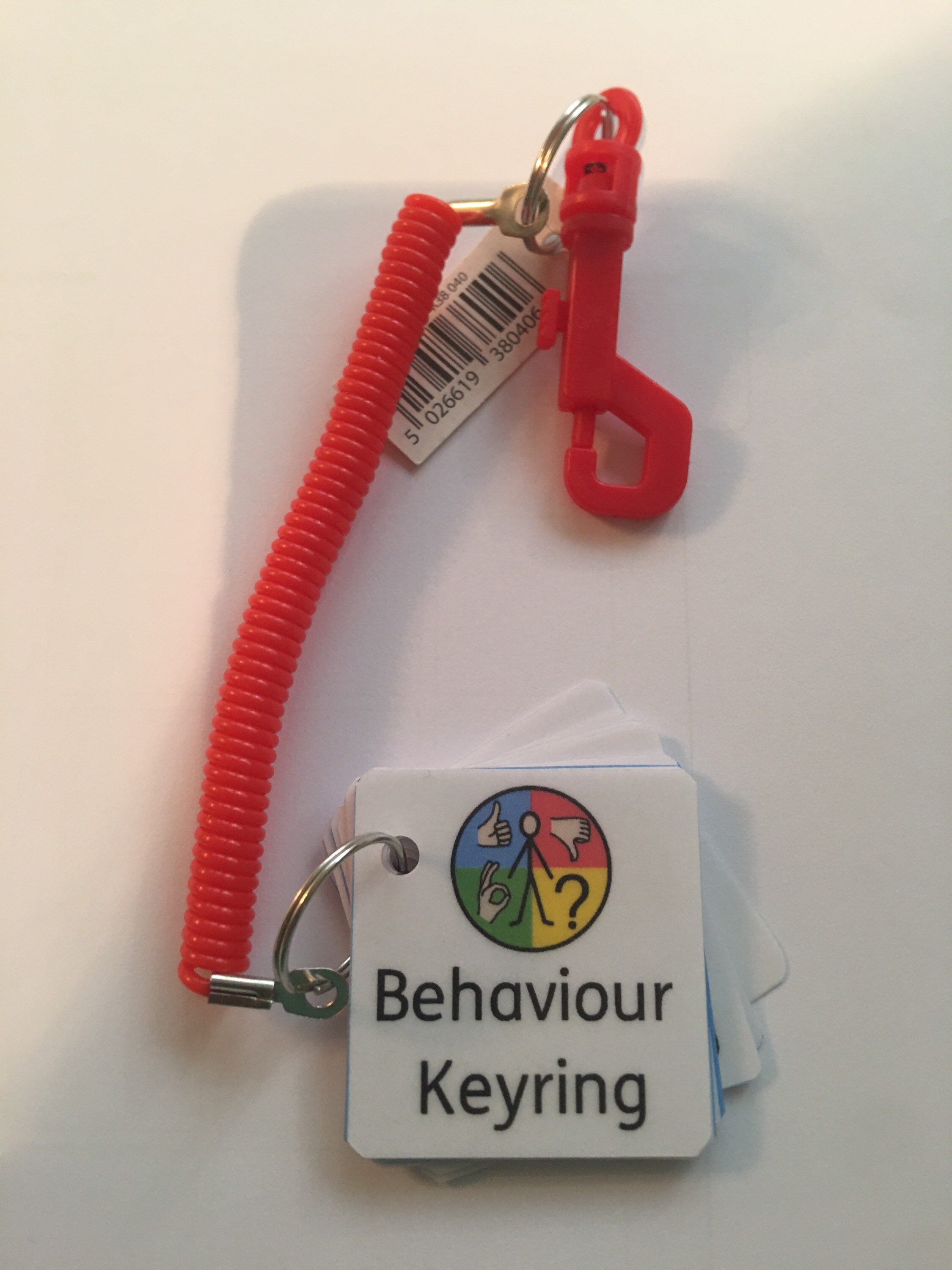 Behaviour Keyring and Behaviour Poster Communication Mat | Etsy UK