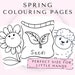 Spring Themed Colouring Sheets, Instant Download, Teaching Aid ...