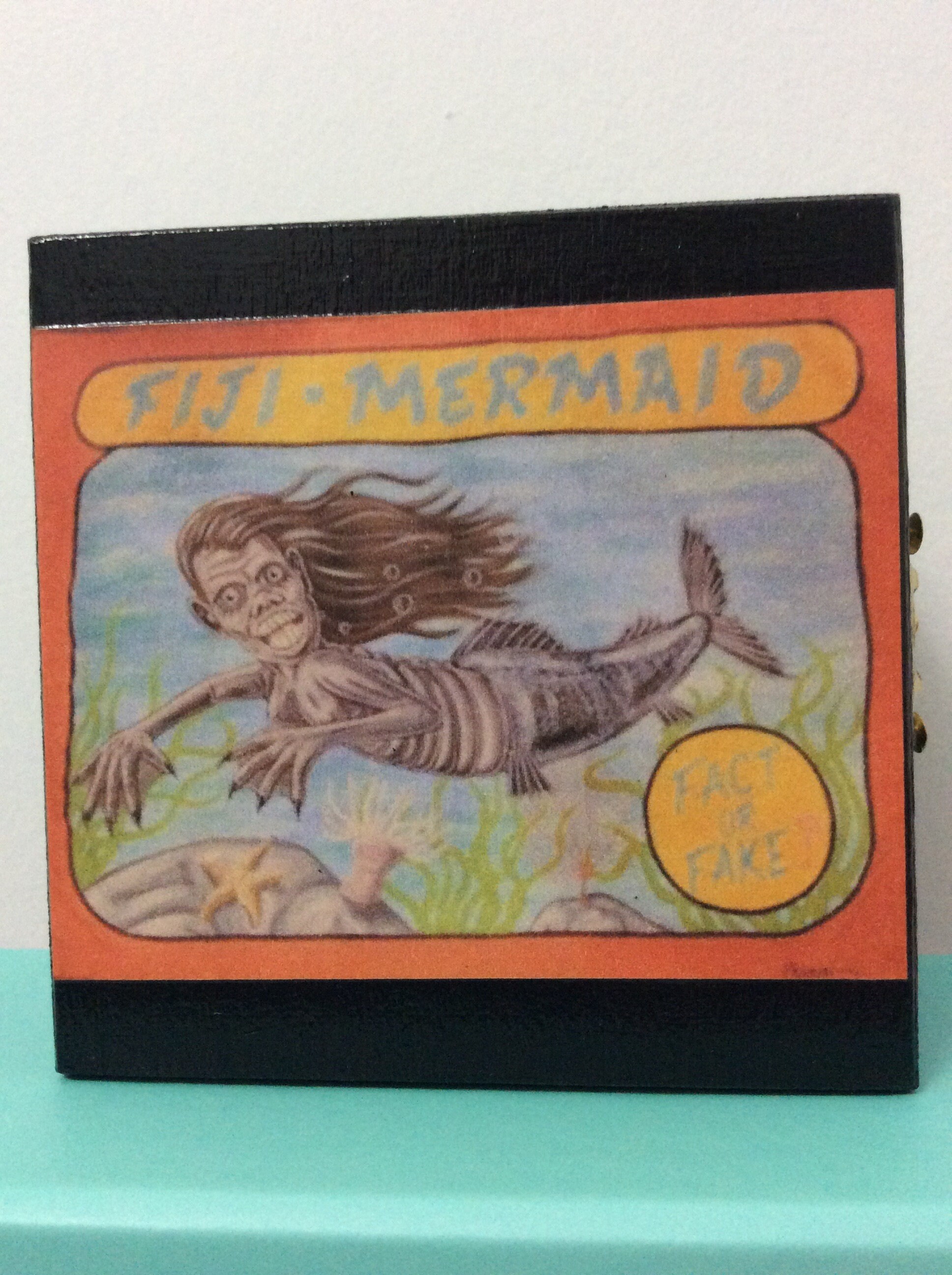 Fiji Mermaid in a Decorated Box - Etsy