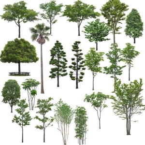106 Real Tree Overlays, Tree Clipart, for Photoshop/illustrator Render ...