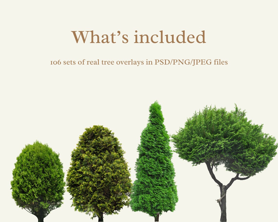106 Real Tree Overlays, Tree Clipart, for Photoshop/illustrator Render ...