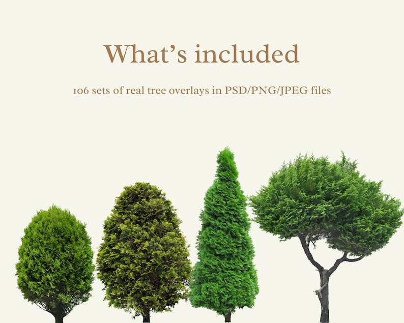 106 Real Tree Overlays, Tree Clipart, for Photoshop/illustrator Render ...