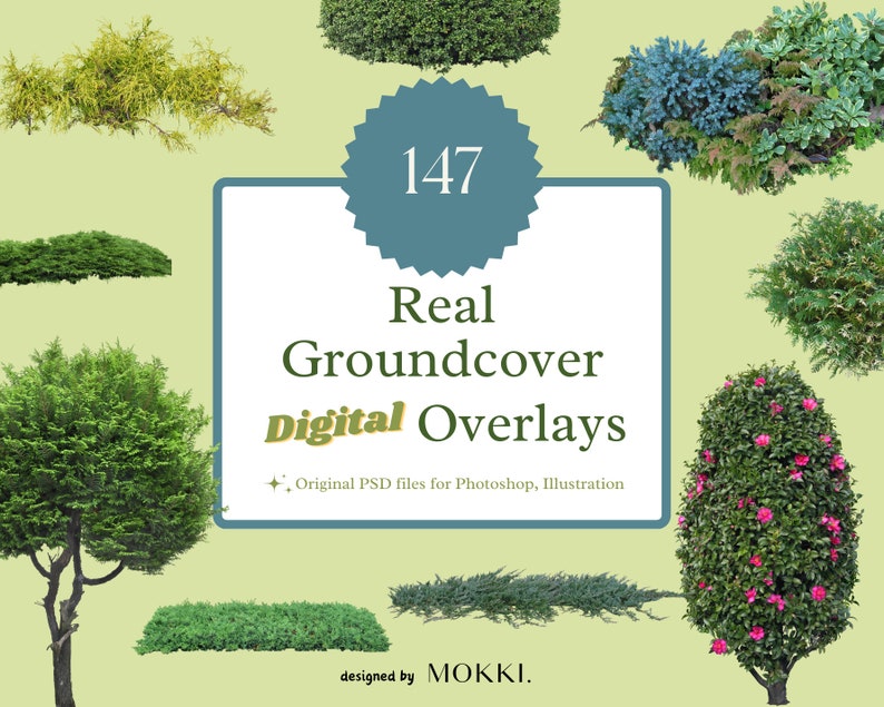 147 Real Groundcover Garden Plant Overlays Photoshop JPG/PNG/PSD ...