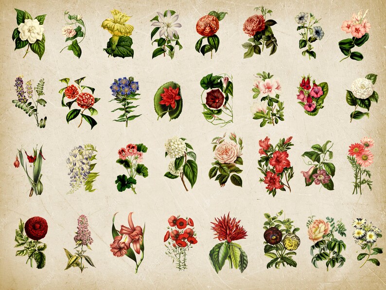 200 Vintage Flowers Clipart Instant Download PNG PSD Garden Design ...