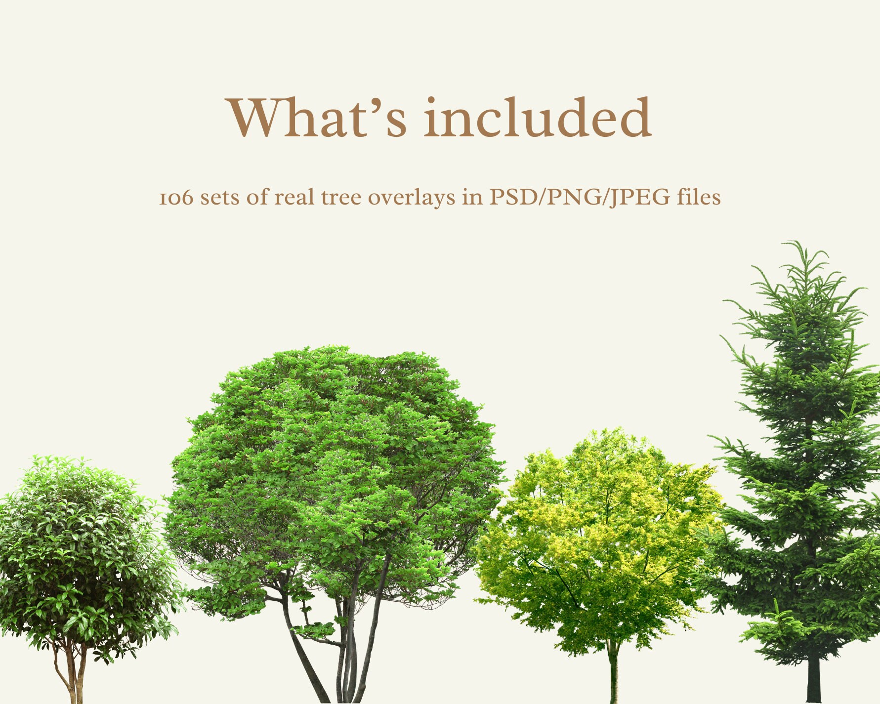 106 Real Tree Overlays, Tree Clipart, for Photoshop/illustrator Render ...