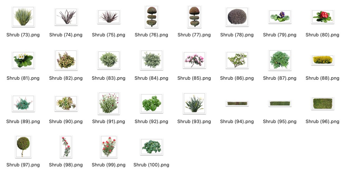 100 Assorted Plant Overlays for Photoshop, Plants, Outdoor Plants ...