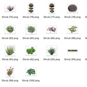 100 Assorted Plant Overlays for Photoshop, Plants, Outdoor Plants ...