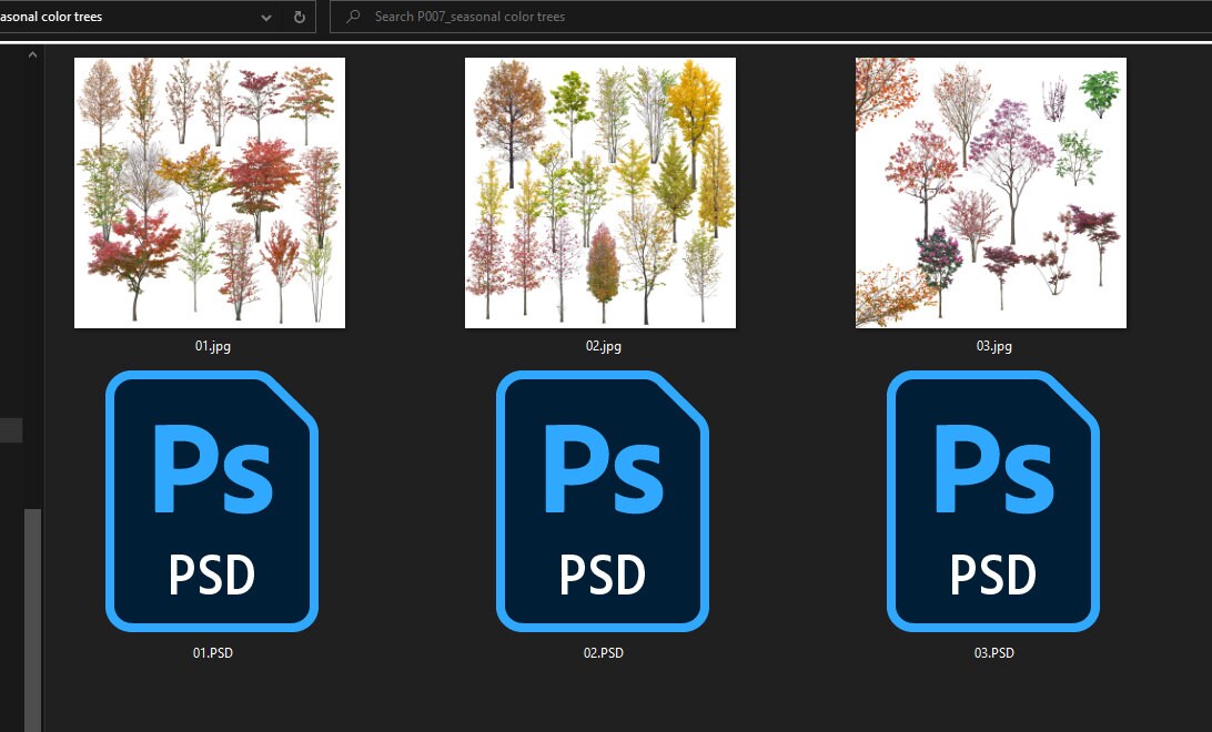 Real Trees Photo Overlays: Fall, Spring, Flower Trees (digital Download ...
