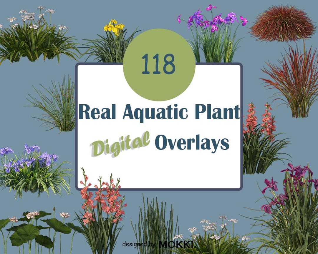 118 Real Aquatic Plant Overlays High-resolution PNG Digital Instant ...