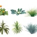100 Assorted Plant Overlays for Photoshop, Plants, Outdoor Plants ...