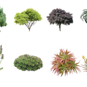 100 Assorted Plant Overlays for Photoshop, Plants, Outdoor Plants ...