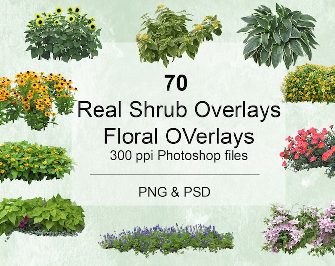 70 Real Shrub Overlays, Floral Clipart, JPG/PNG/PSD, High Resolution ...