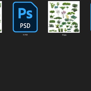 72 Real Shrub Overlays, Tree/shrub Clipart, for Photoshop/illustrator ...