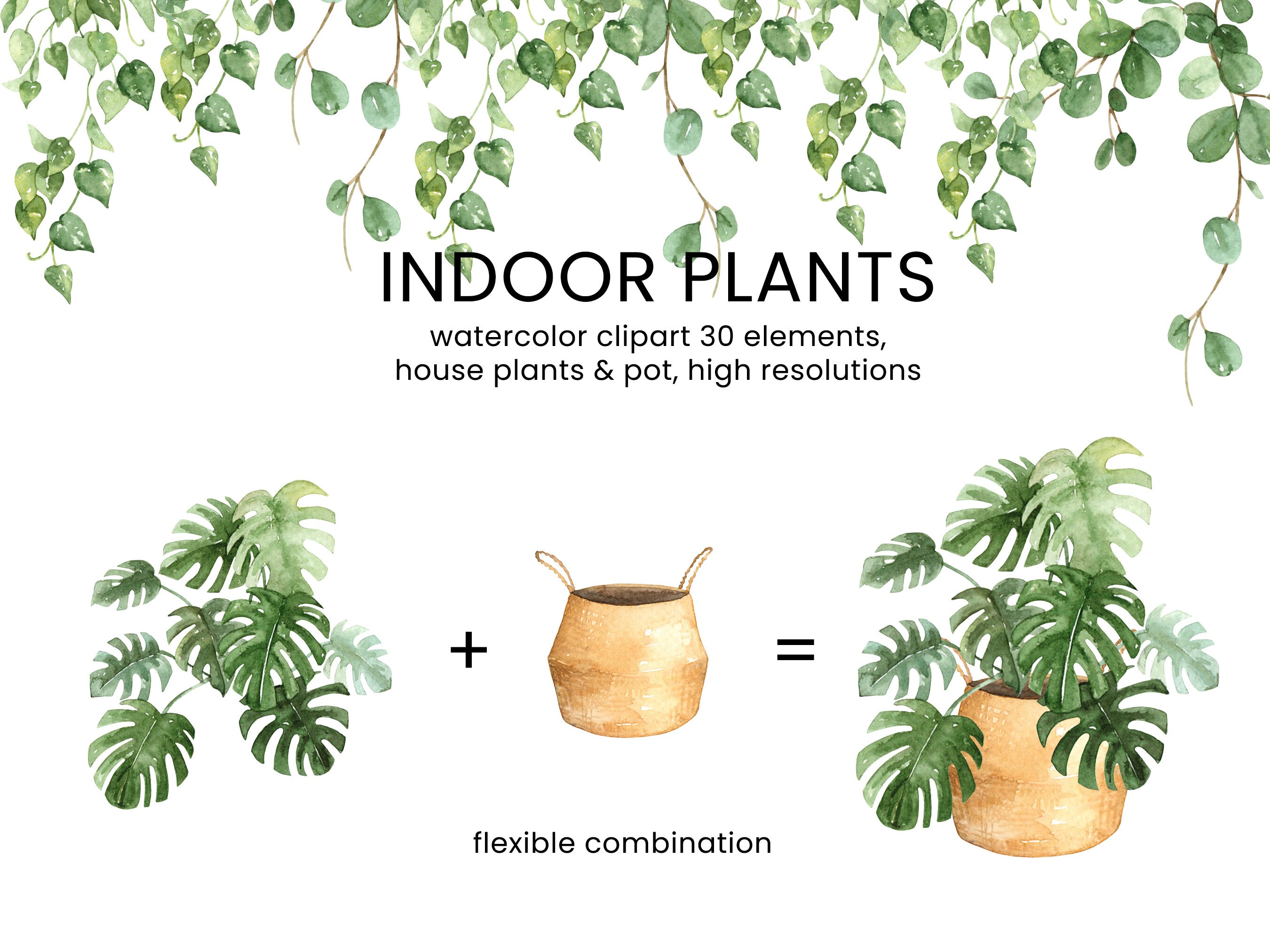 Indoor Plants Watercolor Clipart Beautiful Houseplants Png - Etsy