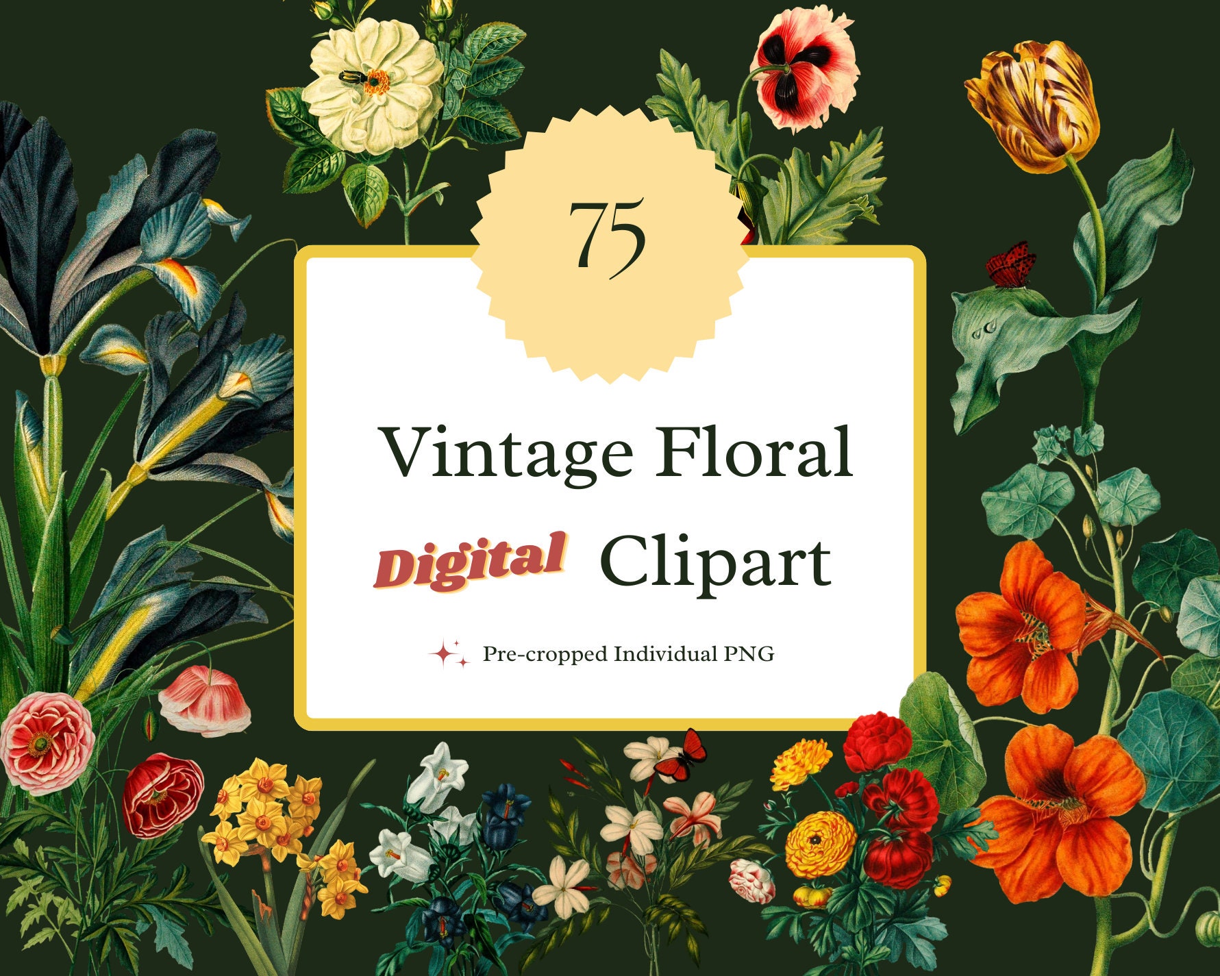 Vintage Floral Clipart Flower Hand-drawn Botanical Clipart Instant ...