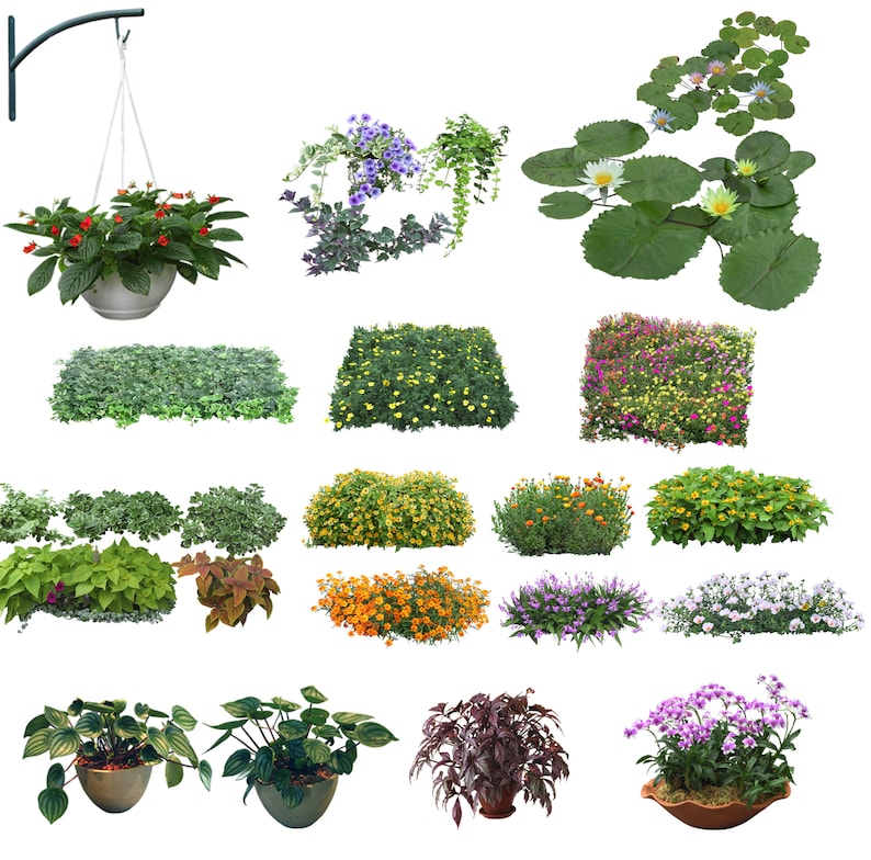 70 Real Shrub Overlays, Floral Clipart, JPG/PNG/PSD, High Resolution ...
