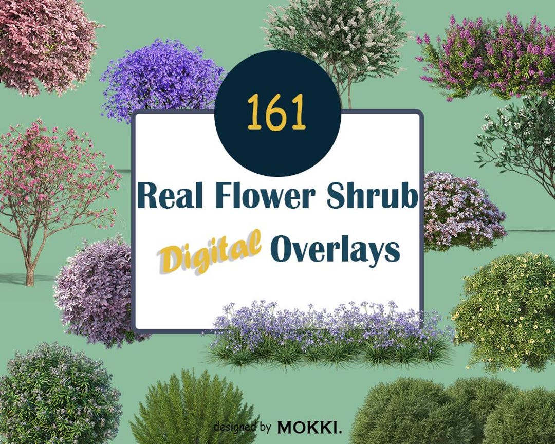 161 Real Flowering Shrub Overlays High-resolution ONG Digital Instant ...