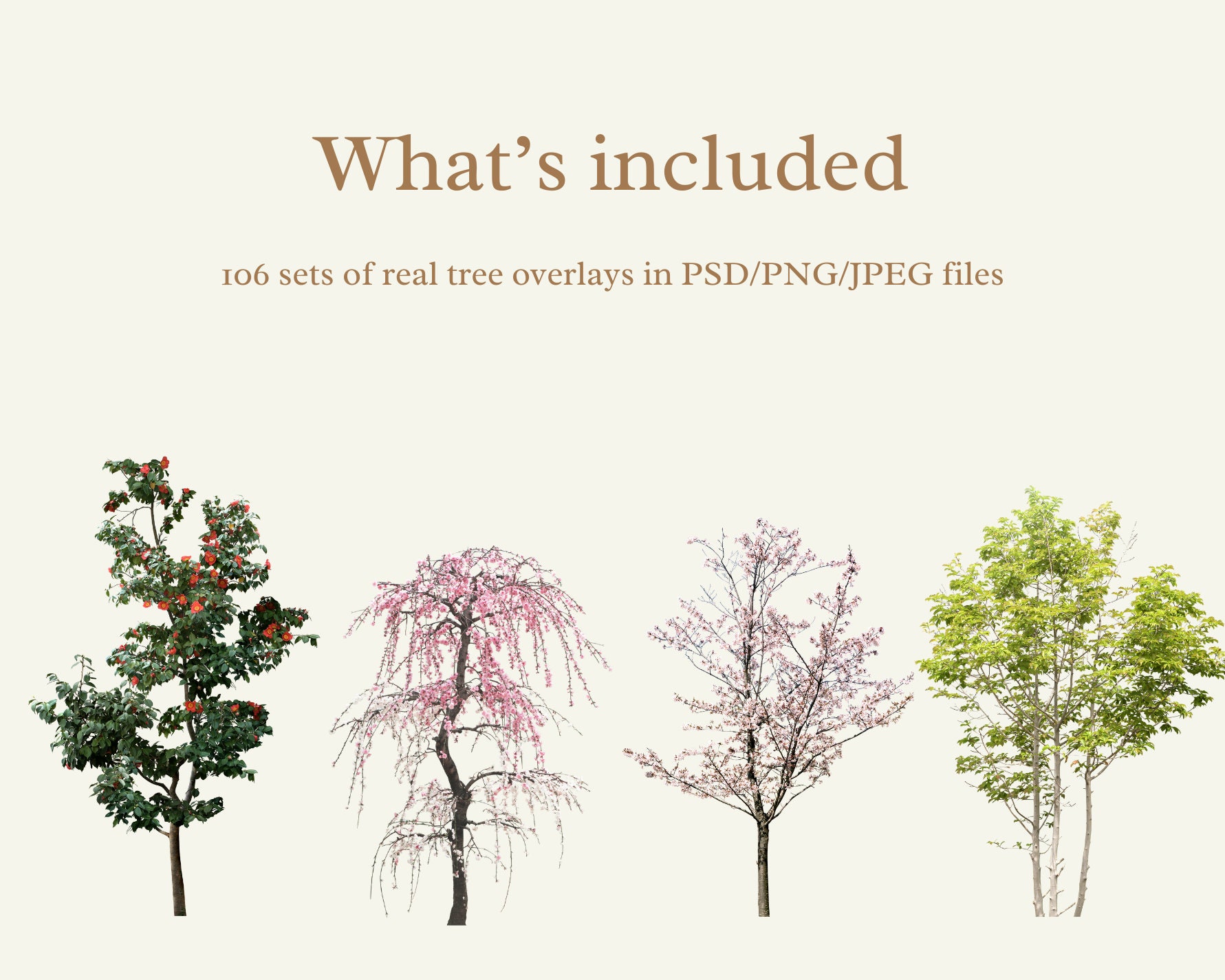 83 Real Tree Overlays, Tree Clipart, for Photoshop/illustrator Render ...