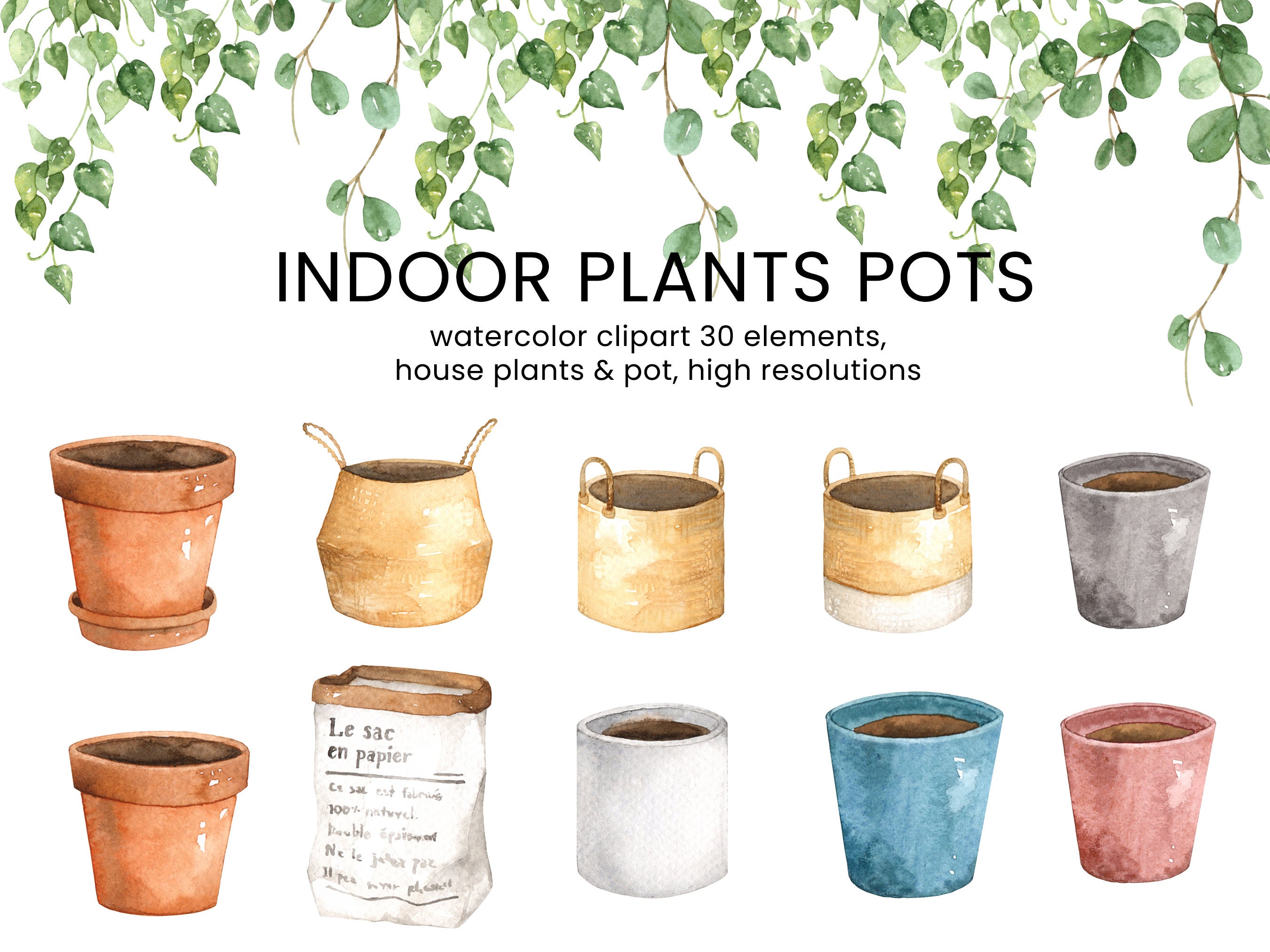 Indoor Plants Watercolor Clipart Beautiful Houseplants Png - Etsy