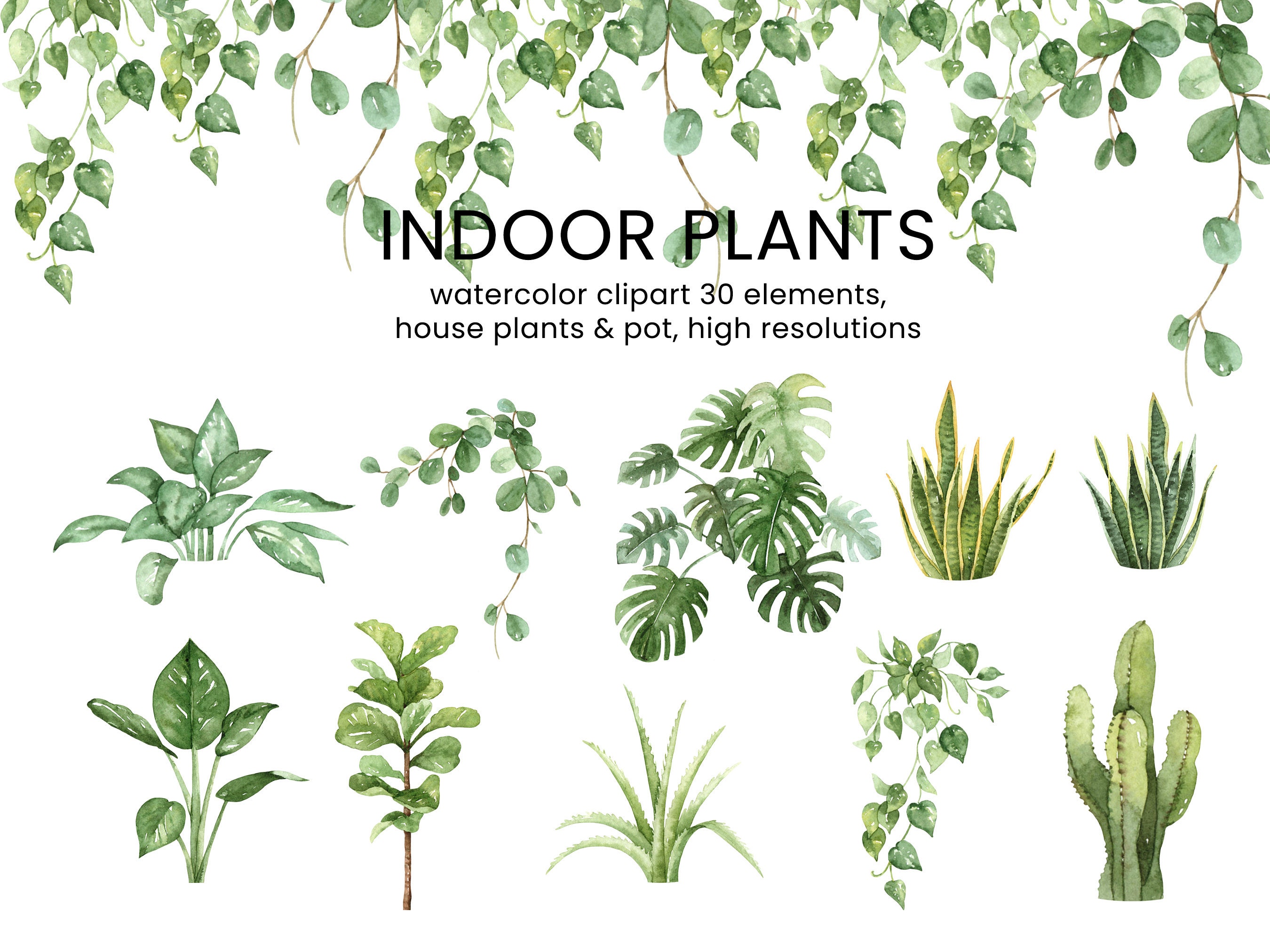 Indoor Plants Watercolor Clipart Beautiful Houseplants Png - Etsy