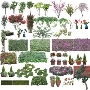 147 Real Groundcover Garden Plant Overlays Photoshop JPG/PNG/PSD ...
