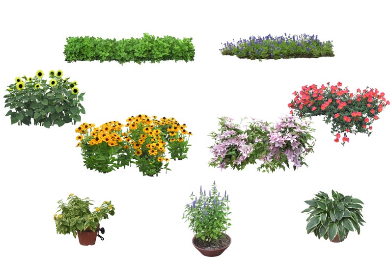 70 Real Shrub Overlays, Floral Clipart, JPG/PNG/PSD, High Resolution ...