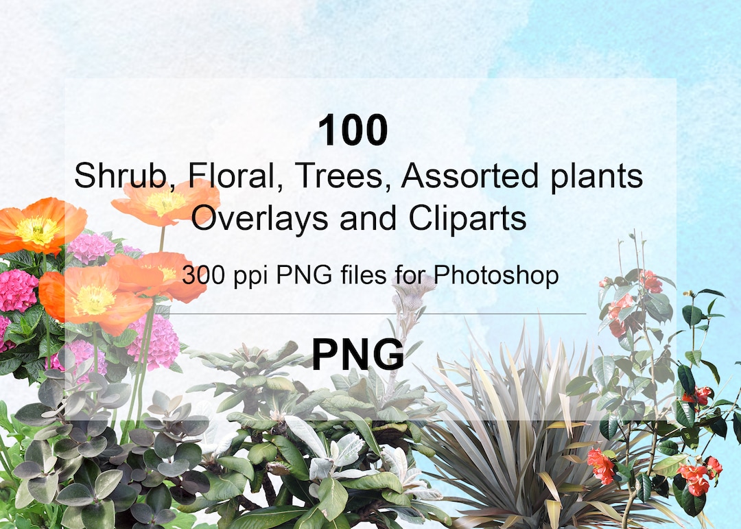 100 Assorted Plant Overlays for Photoshop, Plants, Outdoor Plants ...