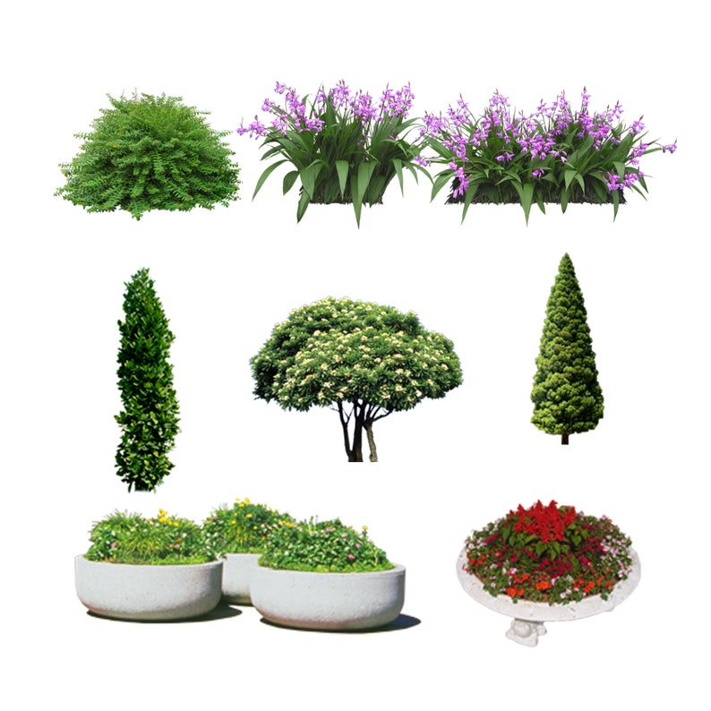 70 Real Shrub Overlays, Floral Clipart, JPG/PNG/PSD, High Resolution ...