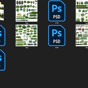 147 Real Groundcover Garden Plant Overlays Photoshop JPG/PNG/PSD ...