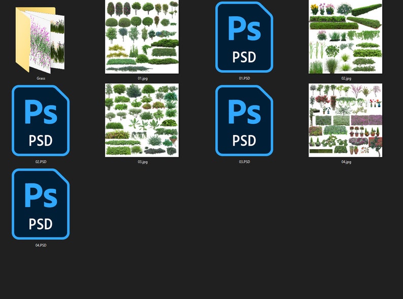 147 Real Groundcover Garden Plant Overlays Photoshop JPG/PNG/PSD ...