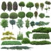 147 Real Groundcover Garden Plant Overlays Photoshop JPG/PNG/PSD ...