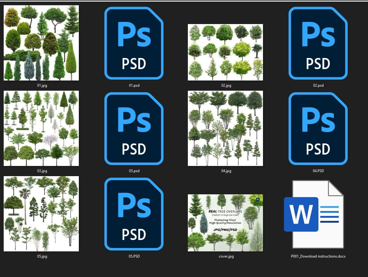 106 Real Tree Overlays, Tree Clipart, for Photoshop/illustrator Render ...