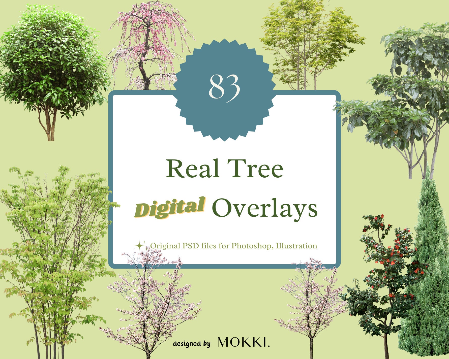 83 Real Tree Overlays, Tree Clipart, for Photoshop/illustrator Render ...
